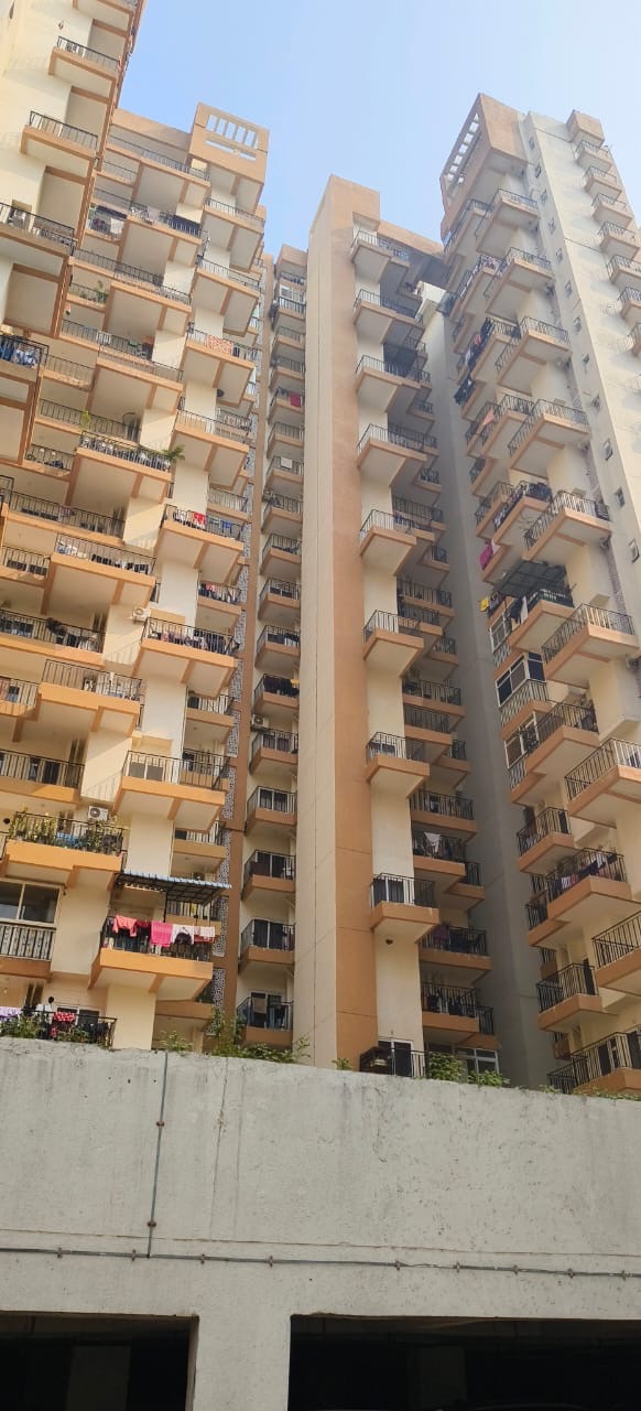 AMRAPALI NEW PROJECT NOIDA EXTENSION - Amrapali Noida Extension